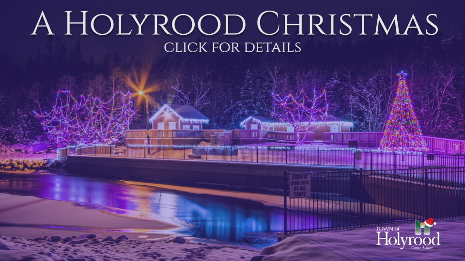 Town of Holyrood | Come Ashore
