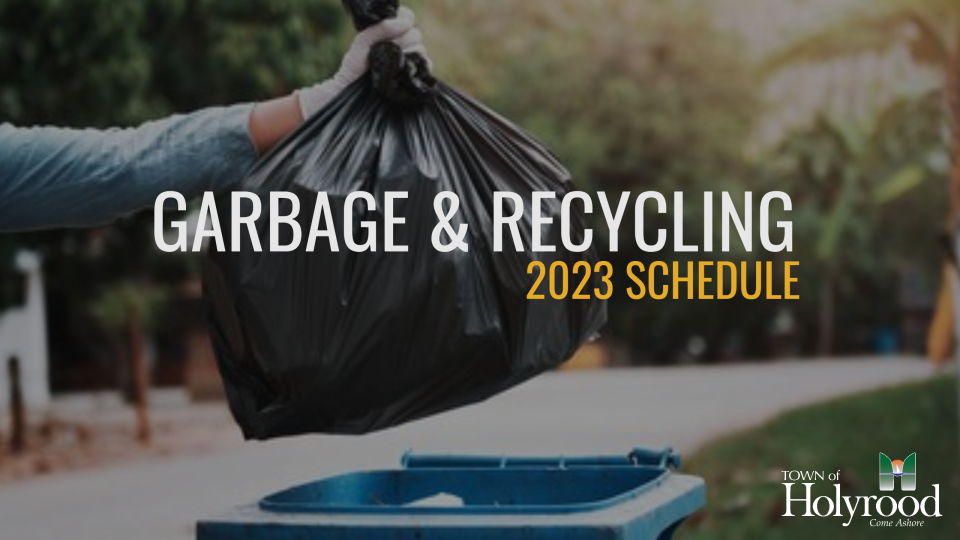 Town of Holyrood | Come Ashore