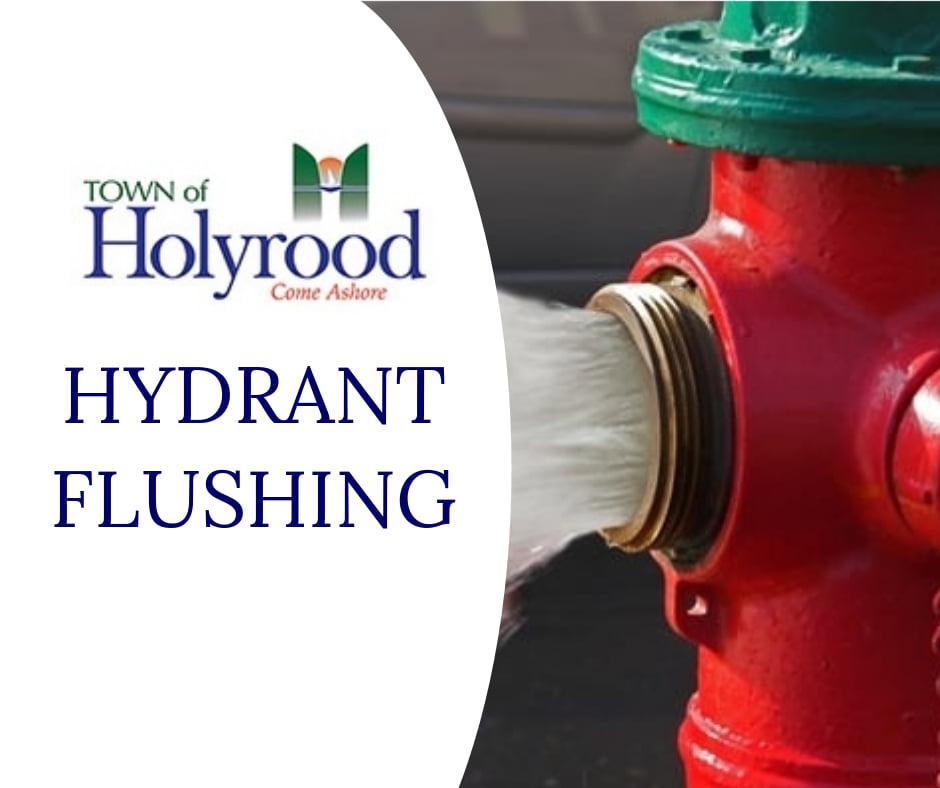 Hydrant Flushing- Salmonier Line - Town of Holyrood