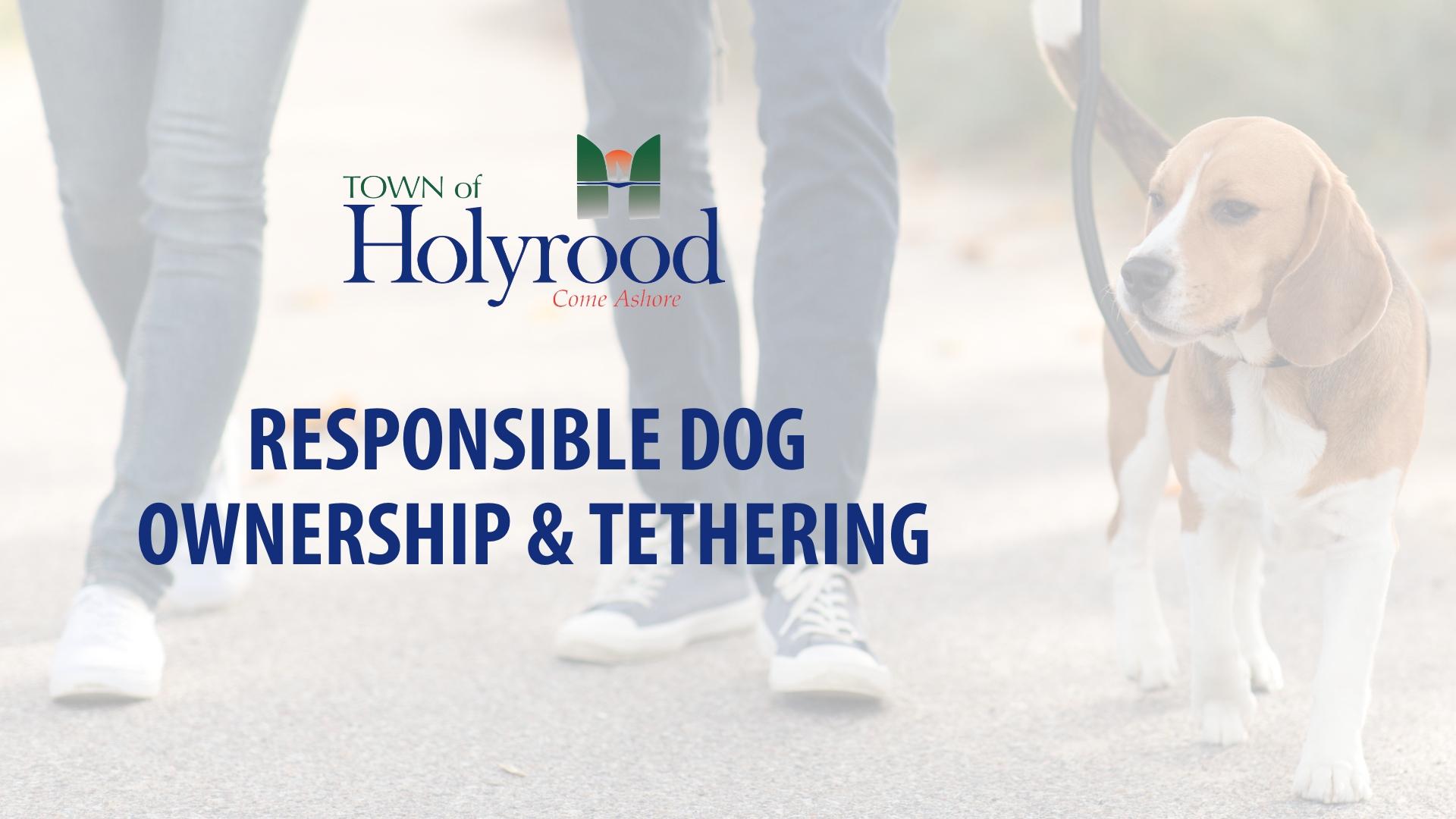 Reminder – Responsible Dog Ownership & Tethering - Town of Holyrood